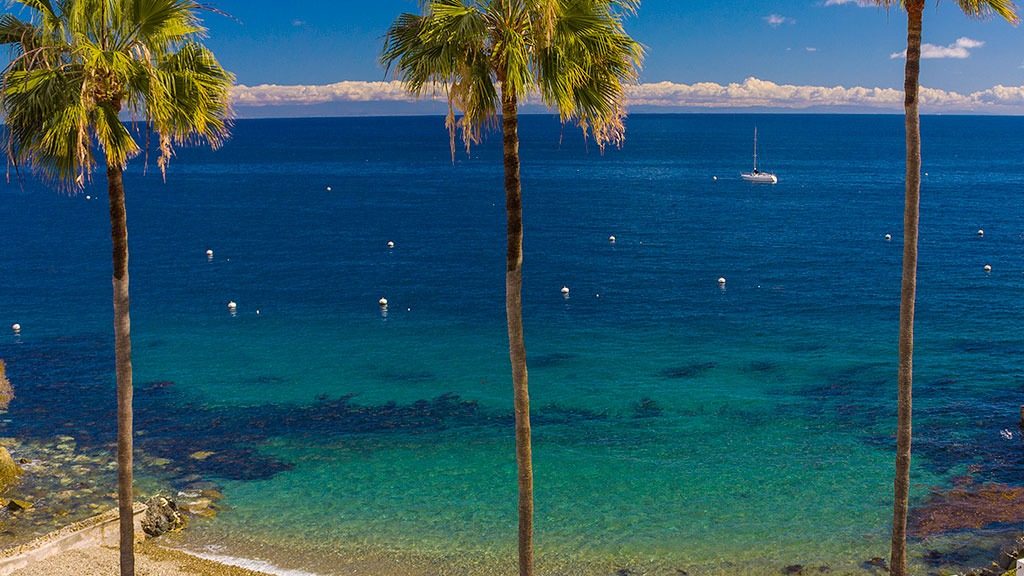 Best of Catalina Island - Active City Travel