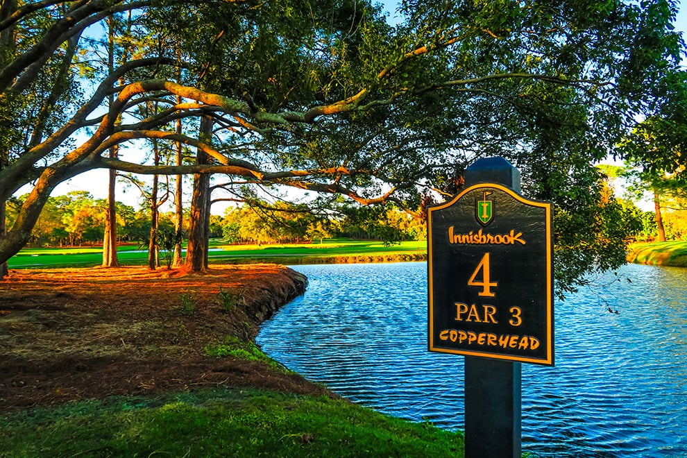 Innisbrook Golf Resort & Spa - Active City Travel